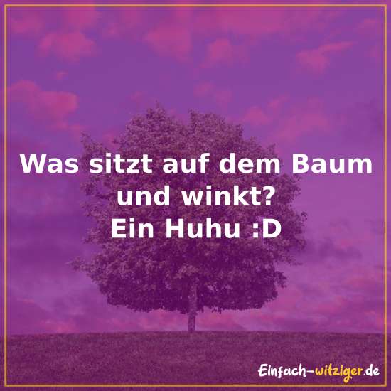 [5. TEIL DER BESTEN FLACHWITZE] Neue und lustige Flachwitze! Lustig